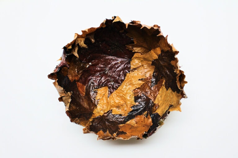 How to Make a DIY Leaf Bowl - The Craft-at-Home Family