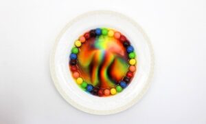 Rainbow Skittles Experiment for Kids - The Craft-at-Home Family