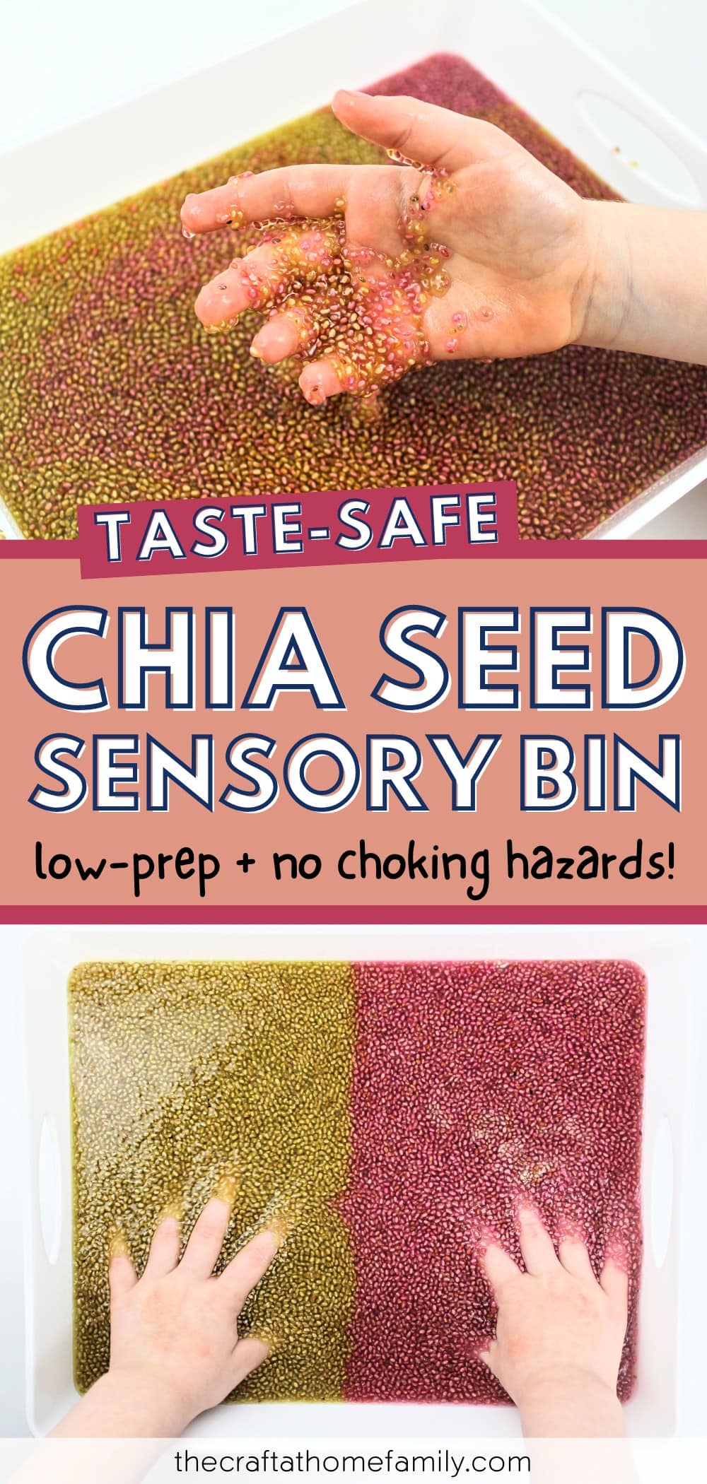 Taste-Safe Chia Seed Sensory Play - The Craft-at-Home Family