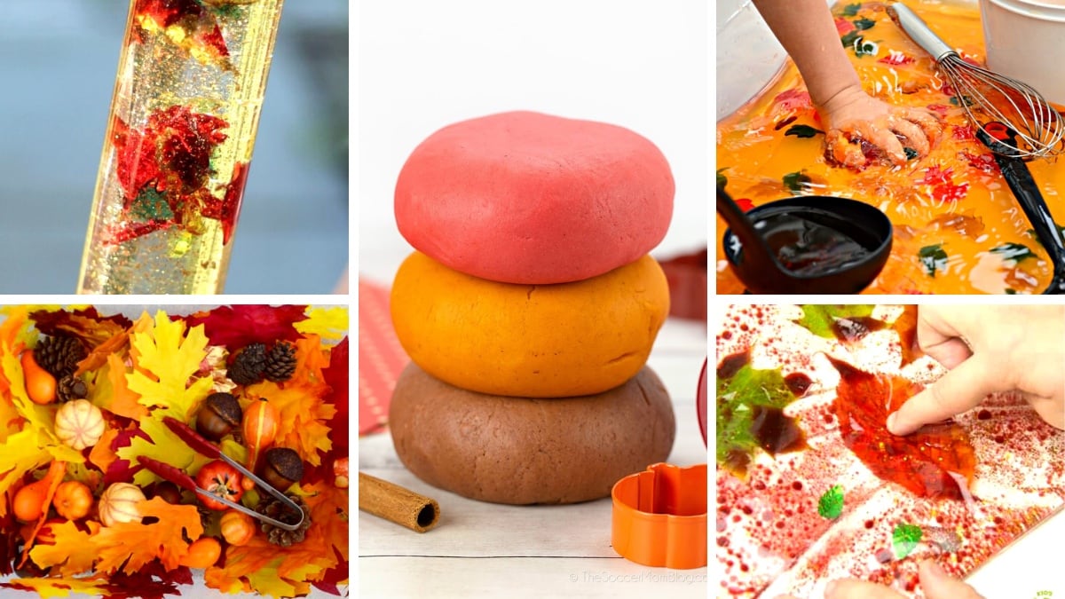 50+ Super Fun Fall Sensory Activities for Kids - The Craft-at-Home Family