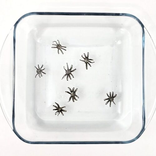 Paper Roll Stamped Spiders - The Craft-at-Home Family