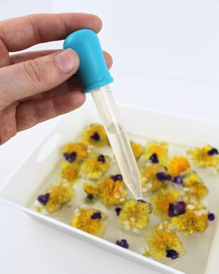 Frozen Dandelion Sensory Play - The Craft-at-Home Family